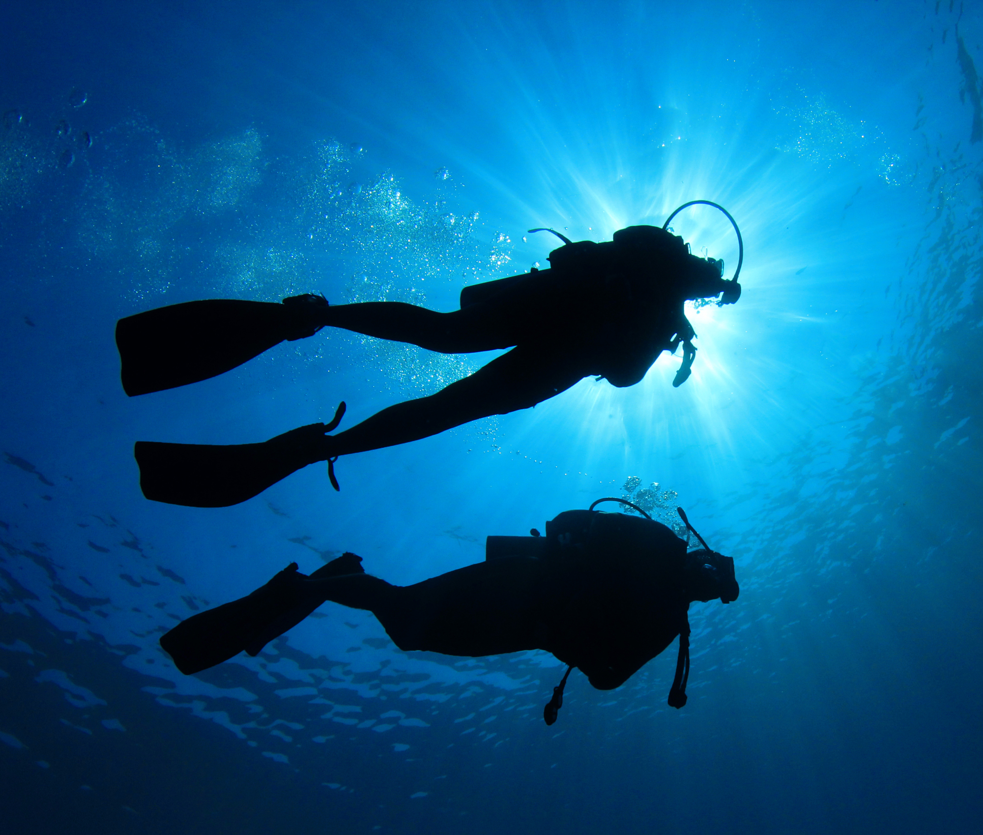 Three standards on the ‘Requirements for the training of scientific ...